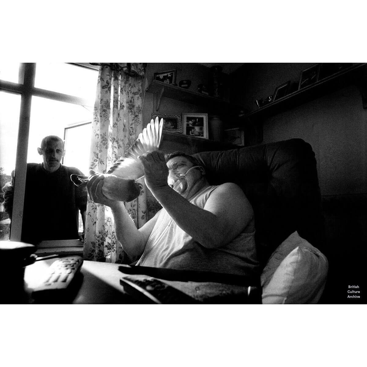 Zak Waters - Birdmen | British Culture Archive