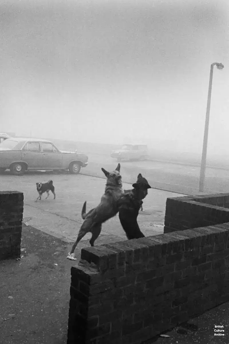 Hulme Portraits | Manchester, 1970s | British Culture Archive