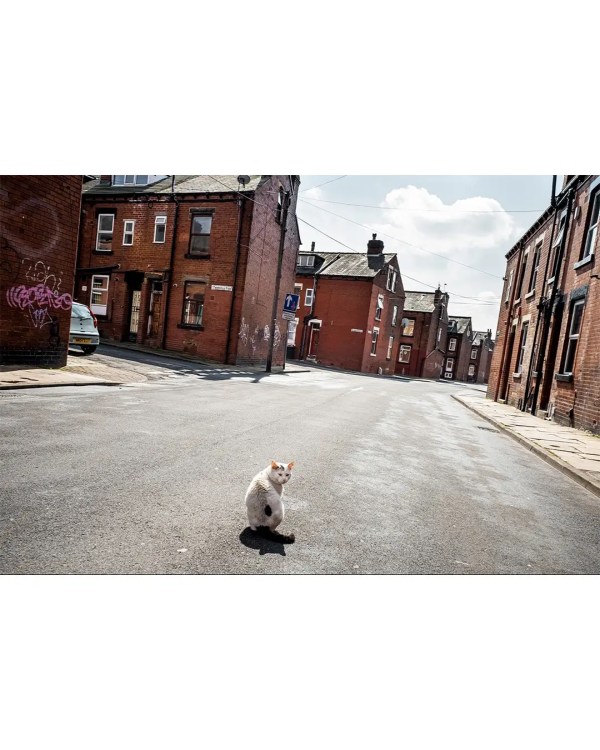 Ricky Adam - Back-To-Back - (First Edition)